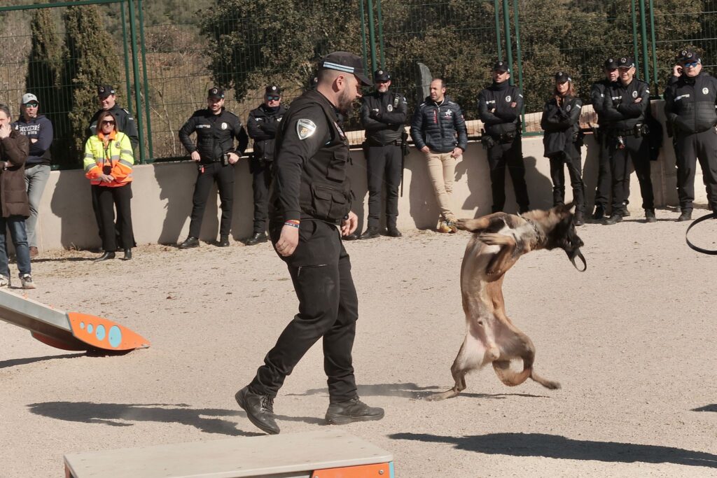 El Ayuntamiento de Cáceres reconoce el trabajo de Nero, perro de la ...