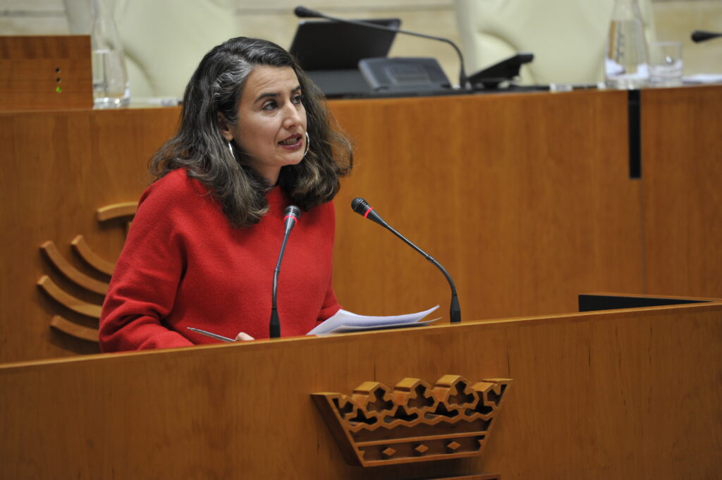 Irene de Miguel: “Las privatizaciones del agua han demostrado graves ...