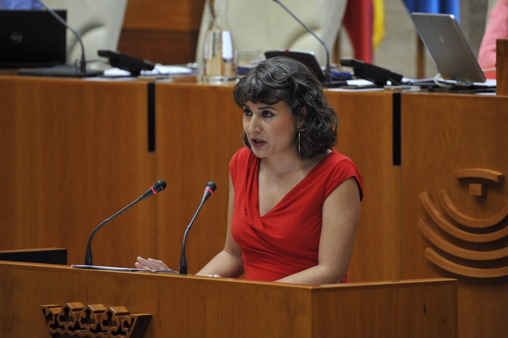 Irene de Miguel critica la política fiscal y defiende la memoria ...